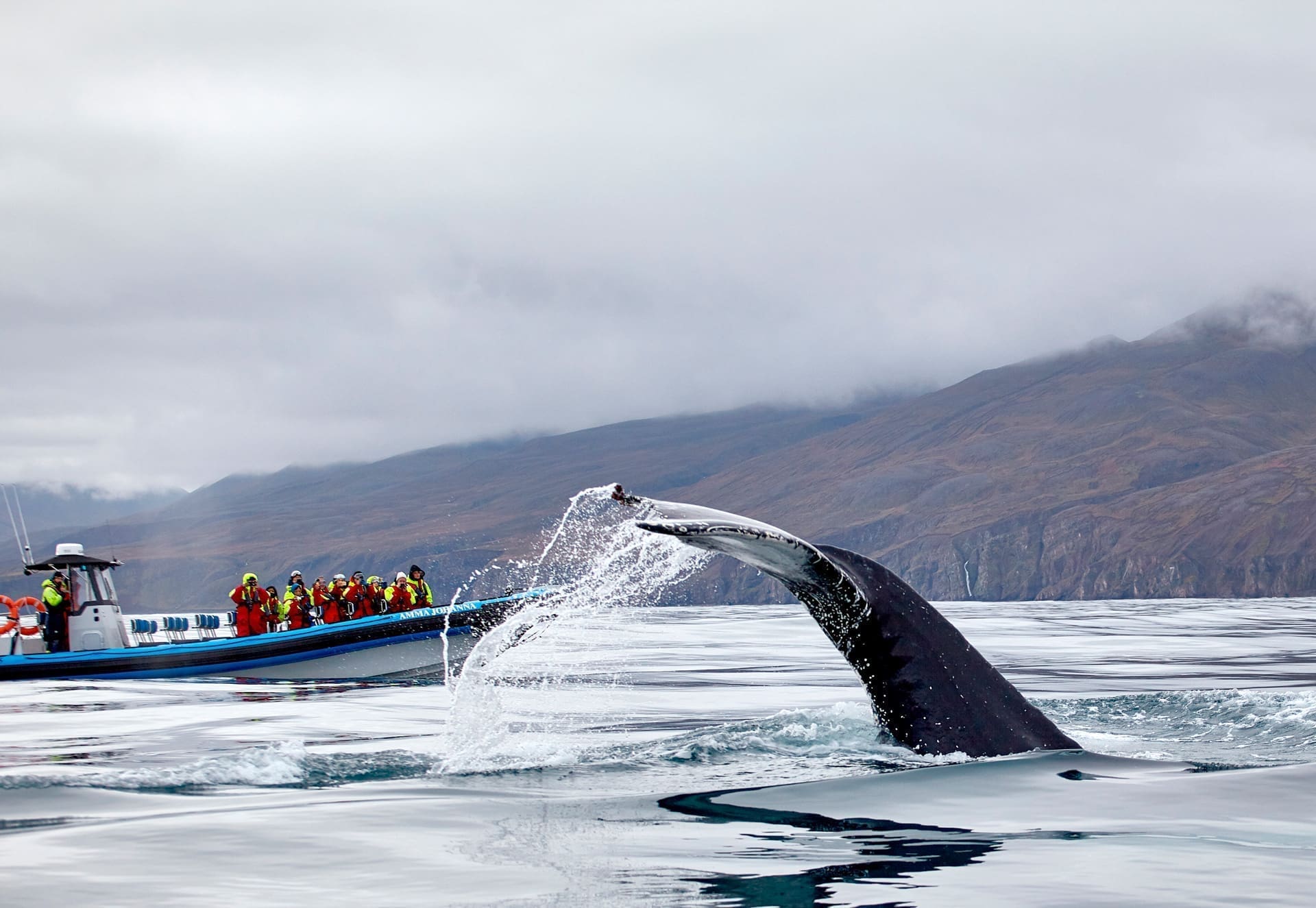 Highlights of Iceland - Smyril Line